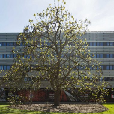 University of Reading library refurbishment - Stride Treglown Architects
