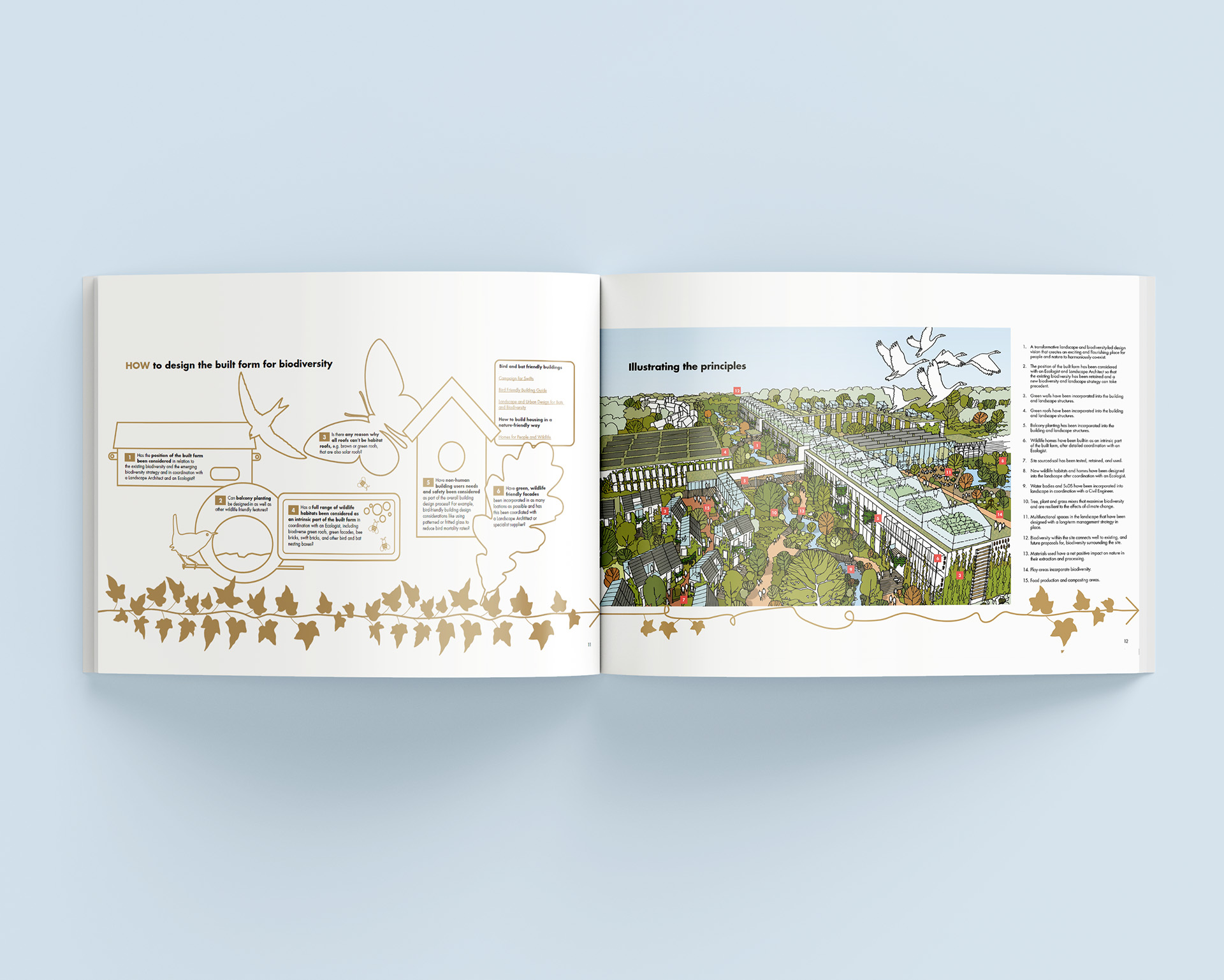 Introducing our Biodiversity Design Guide - Stride Treglown