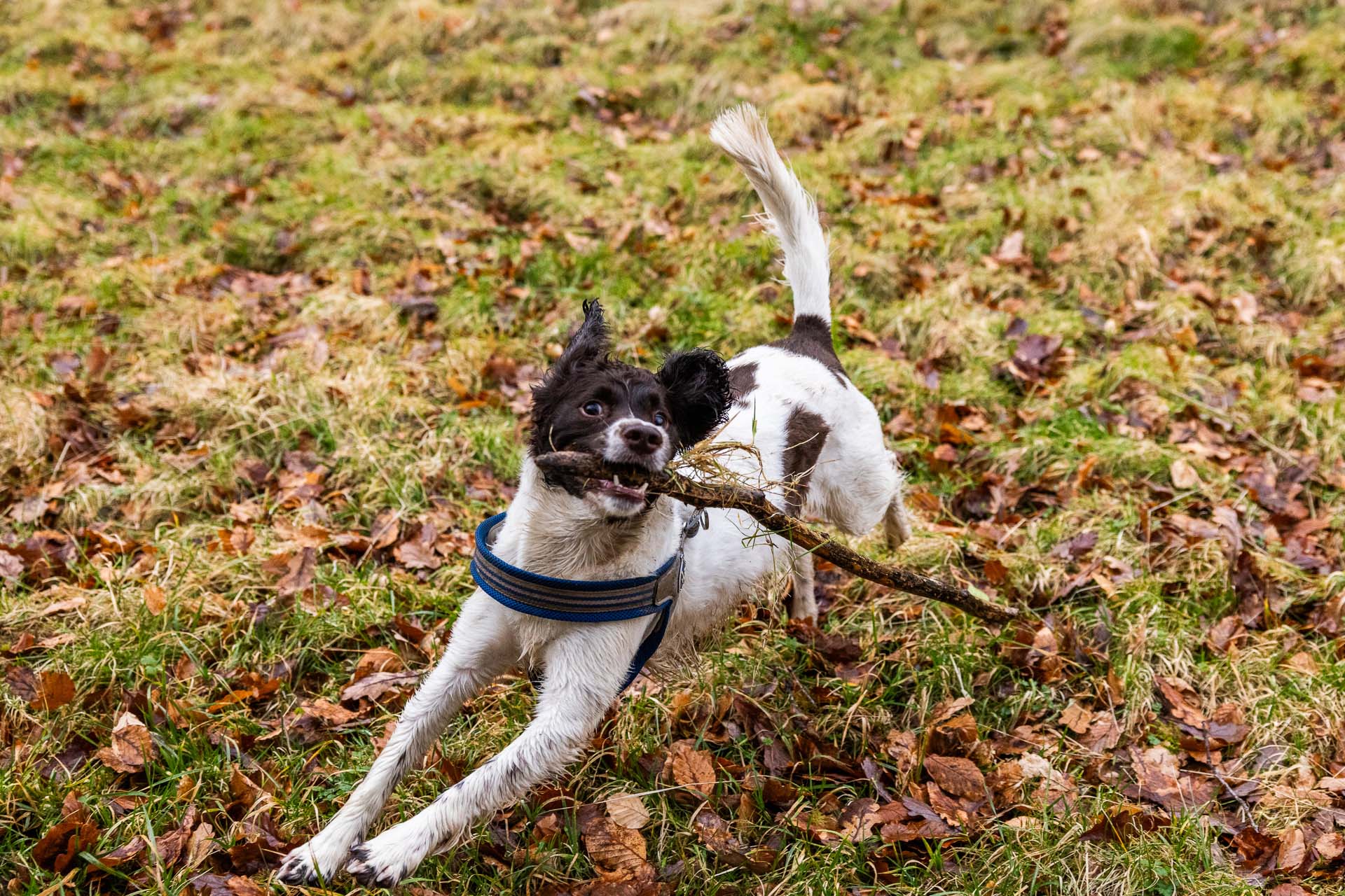 That's a wrap - Stride Treglown